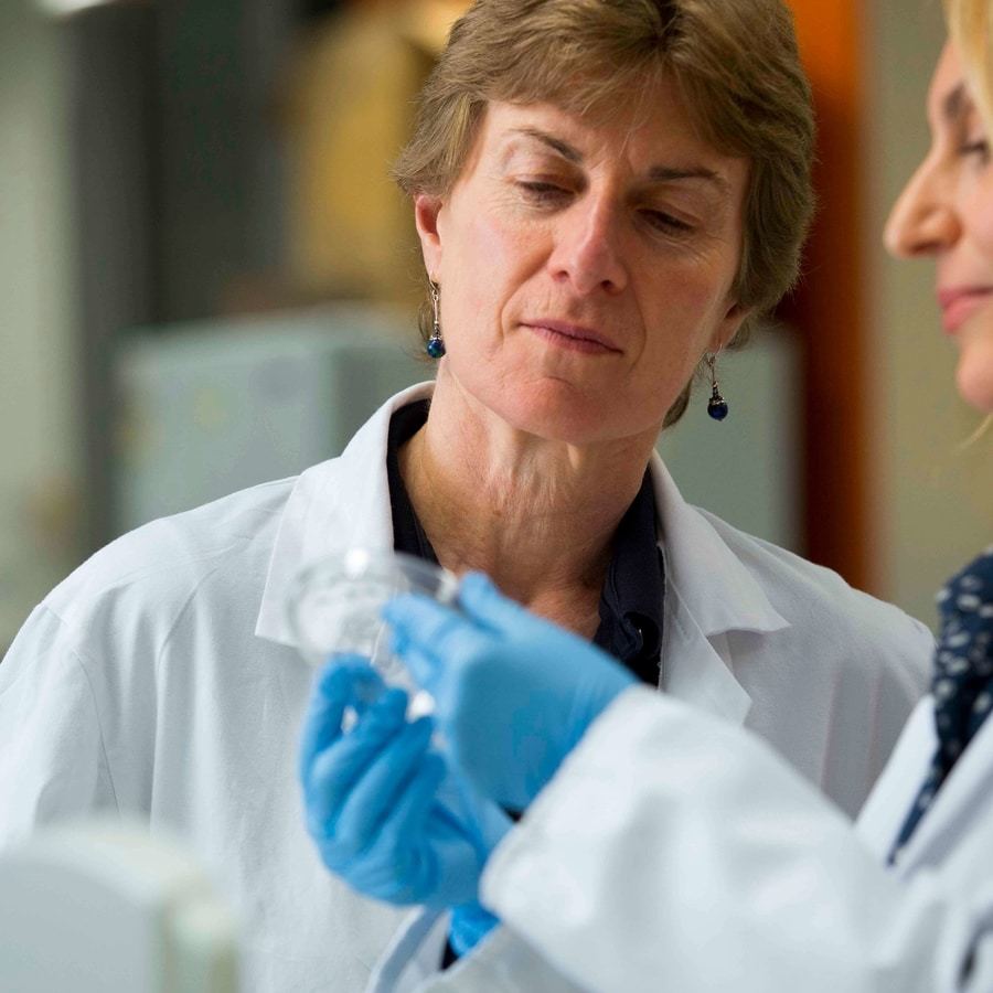 Professor Diane Fatkin - Victor Chang Cardiac Research Institute