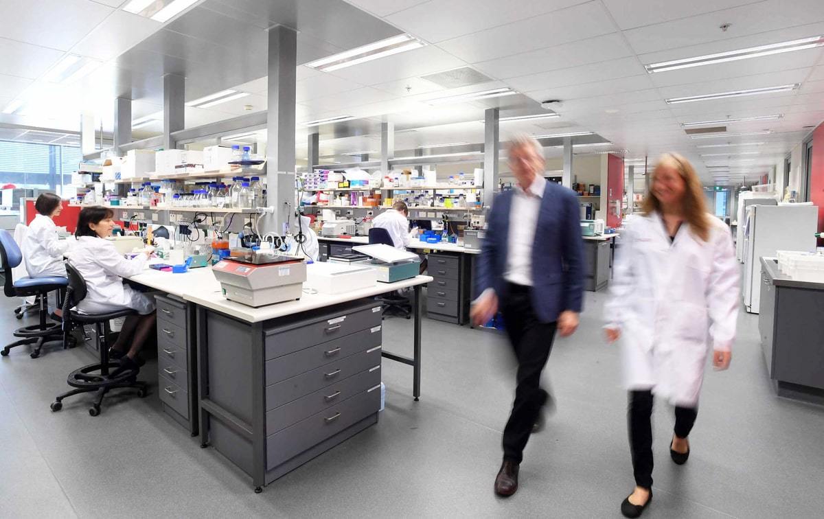 Stress Test explained | Victor Chang Cardiac Research Institute