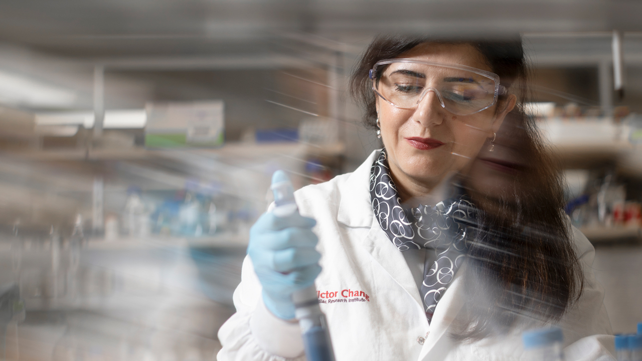 Star Scientist - Jasmina… | Victor Chang Cardiac Research Institute