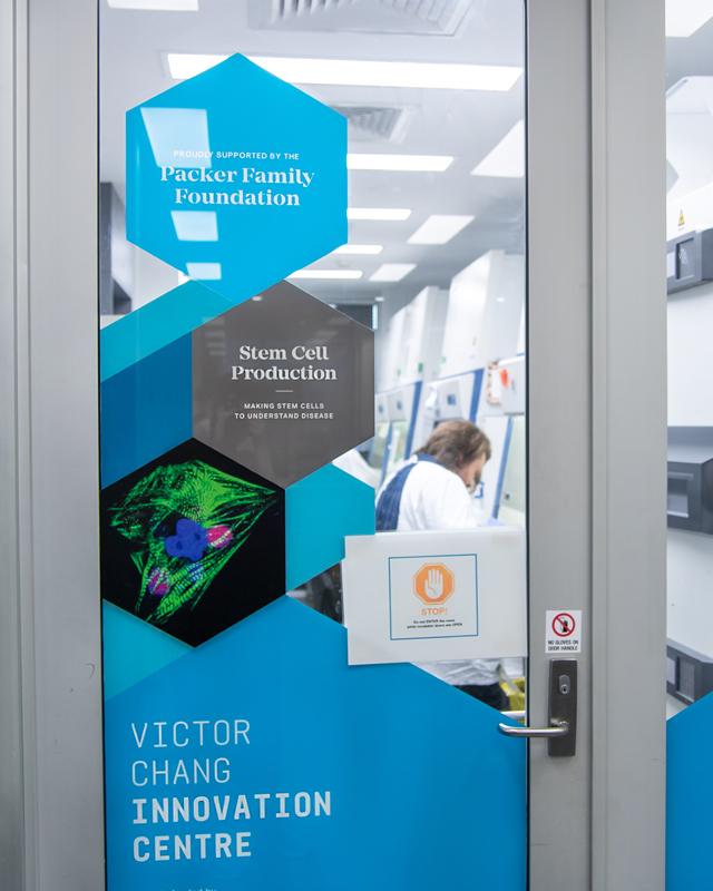 Stem Cell Production… | Victor Chang Cardiac Research Institute
