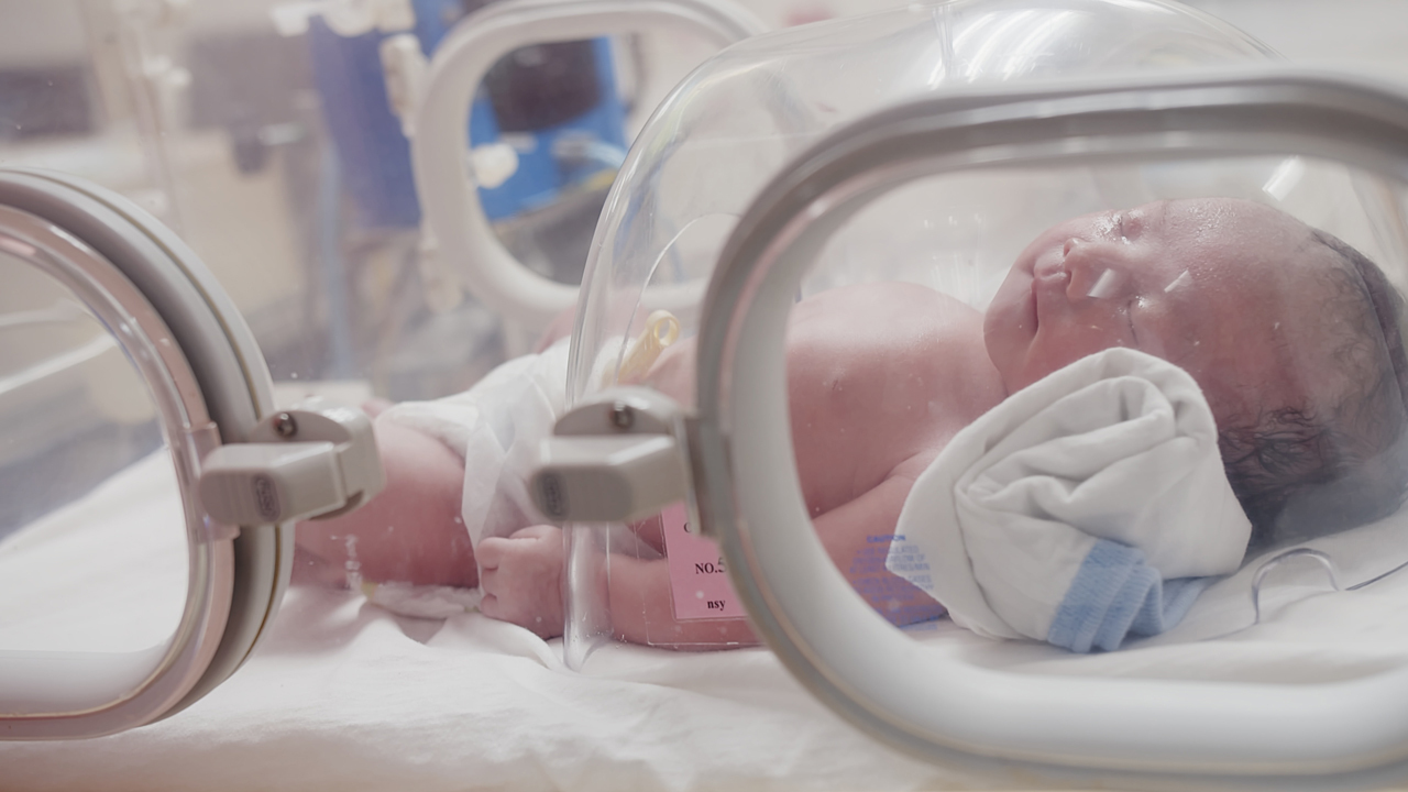 Ventricular Septal Defect… | Victor Chang Cardiac Research Institute