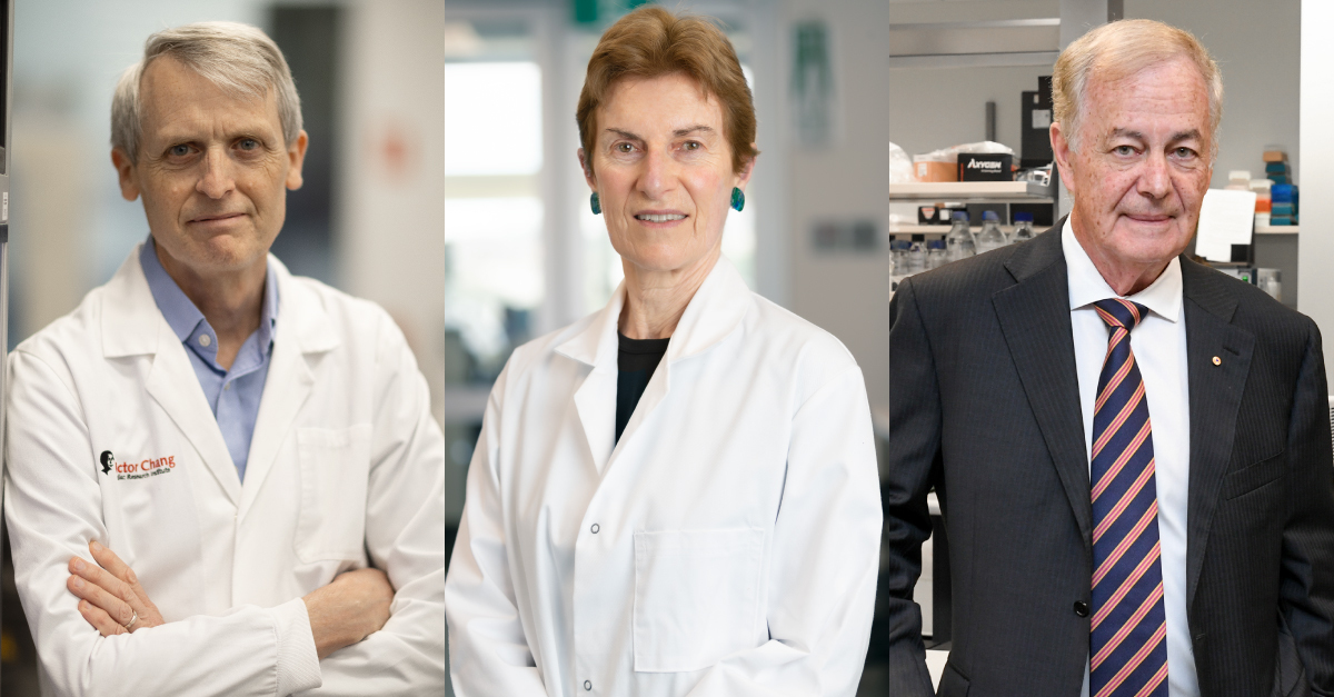 Cardiovascular… | Victor Chang Cardiac Research Institute