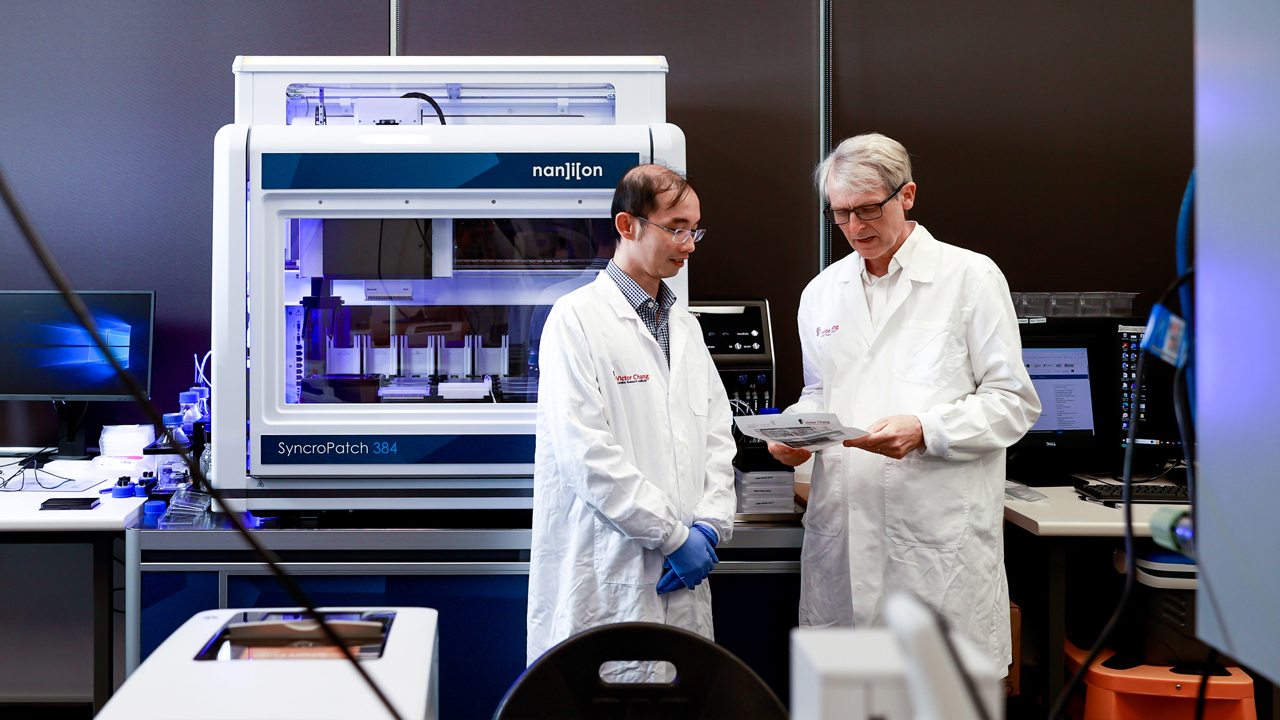 Professor Jamie Vandenberg | Victor Chang Cardiac Research Institute