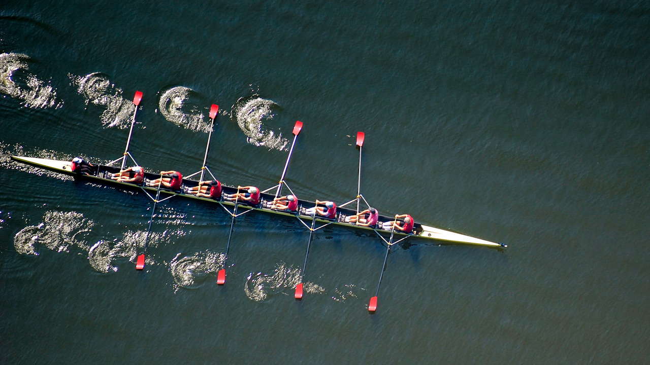 Elite Rowers at Far Higher… | Victor Chang Cardiac Research Institute