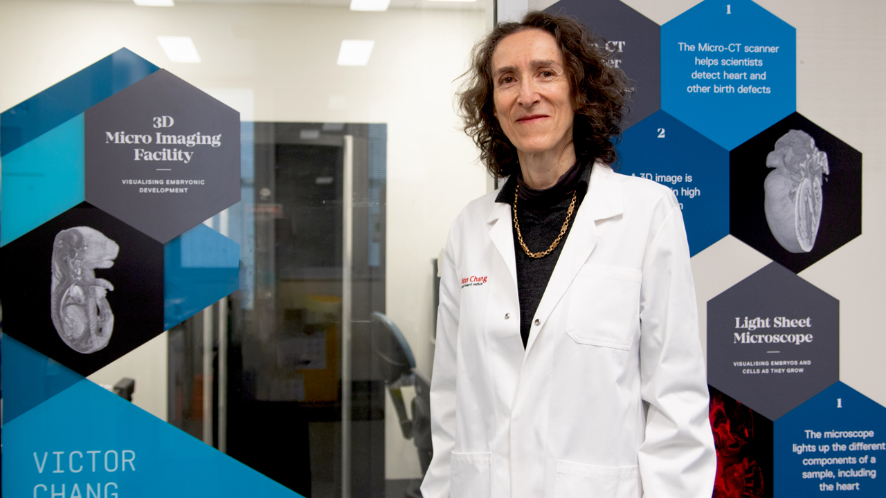 Professor Sally Dunwoodie - Victor Chang Cardiac Research Institute