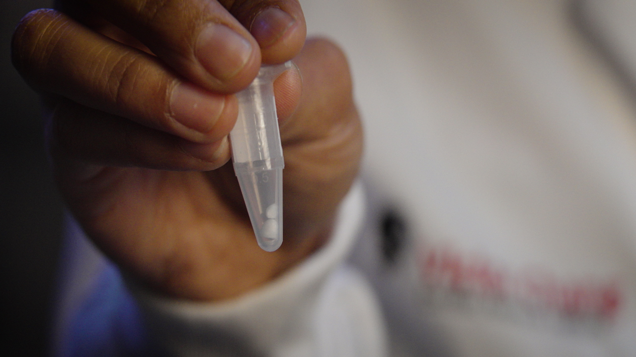 Prof Peter Macdonald | Victor Chang Cardiac Research Institute