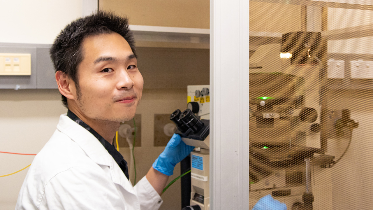 Star Scientist – Dr Zijing Zhou - Victor Chang Cardiac Research Institute